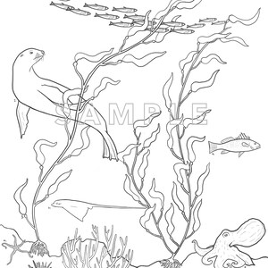Kelp Forest Coloring Page /digital Download/kids and Adults /print ...