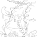 Kelp Forest Coloring Page /digital Download/kids and Adults /print ...