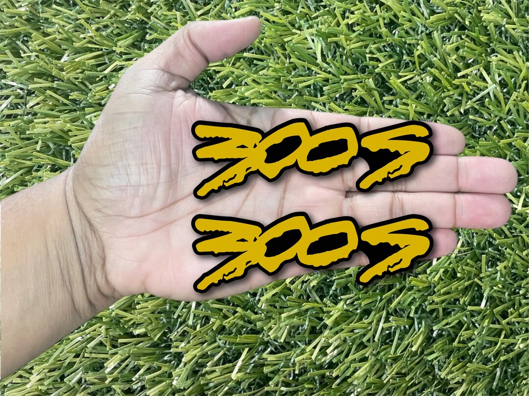 300 S Drip Car Emblem Badges Custom New Racing Aggressive Numbers ...