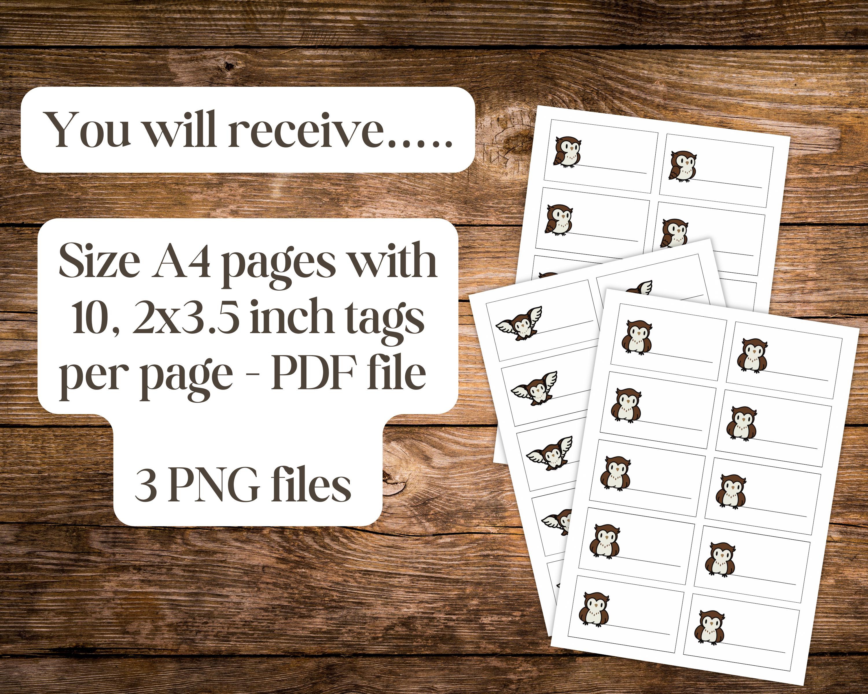 Printable Owl Printable Name Tags: Classroom Decor, Party Labels (PDF ...
