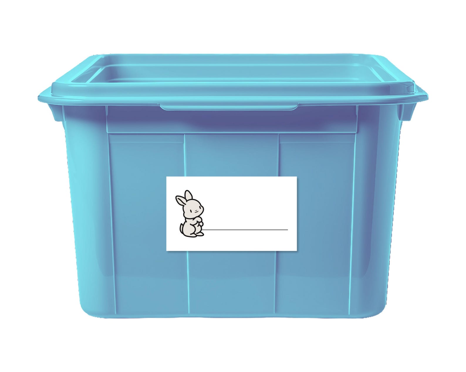 Printable Bunny Printable Name Tags: Classroom Cubby Labels (PDF/PNG ...