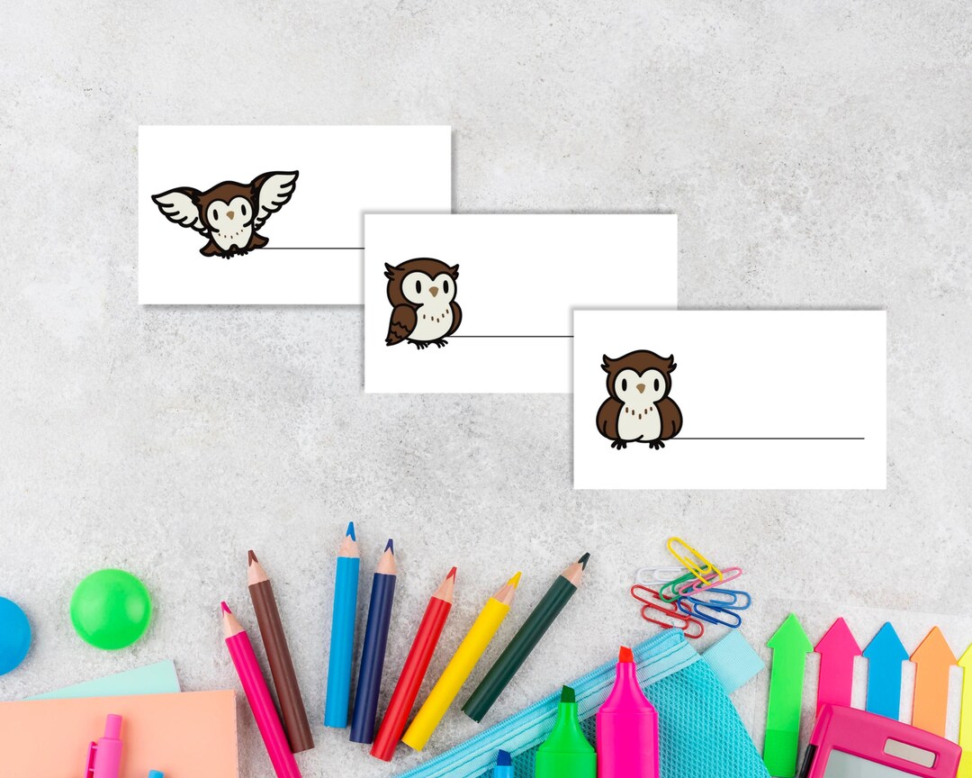 Blank Owl Printable Nametags - Set of 3 Owl Printable Name Tag Labels ...