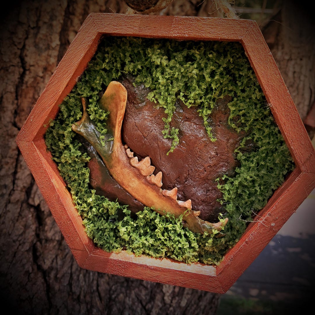 Bone Wall Art - Etsy