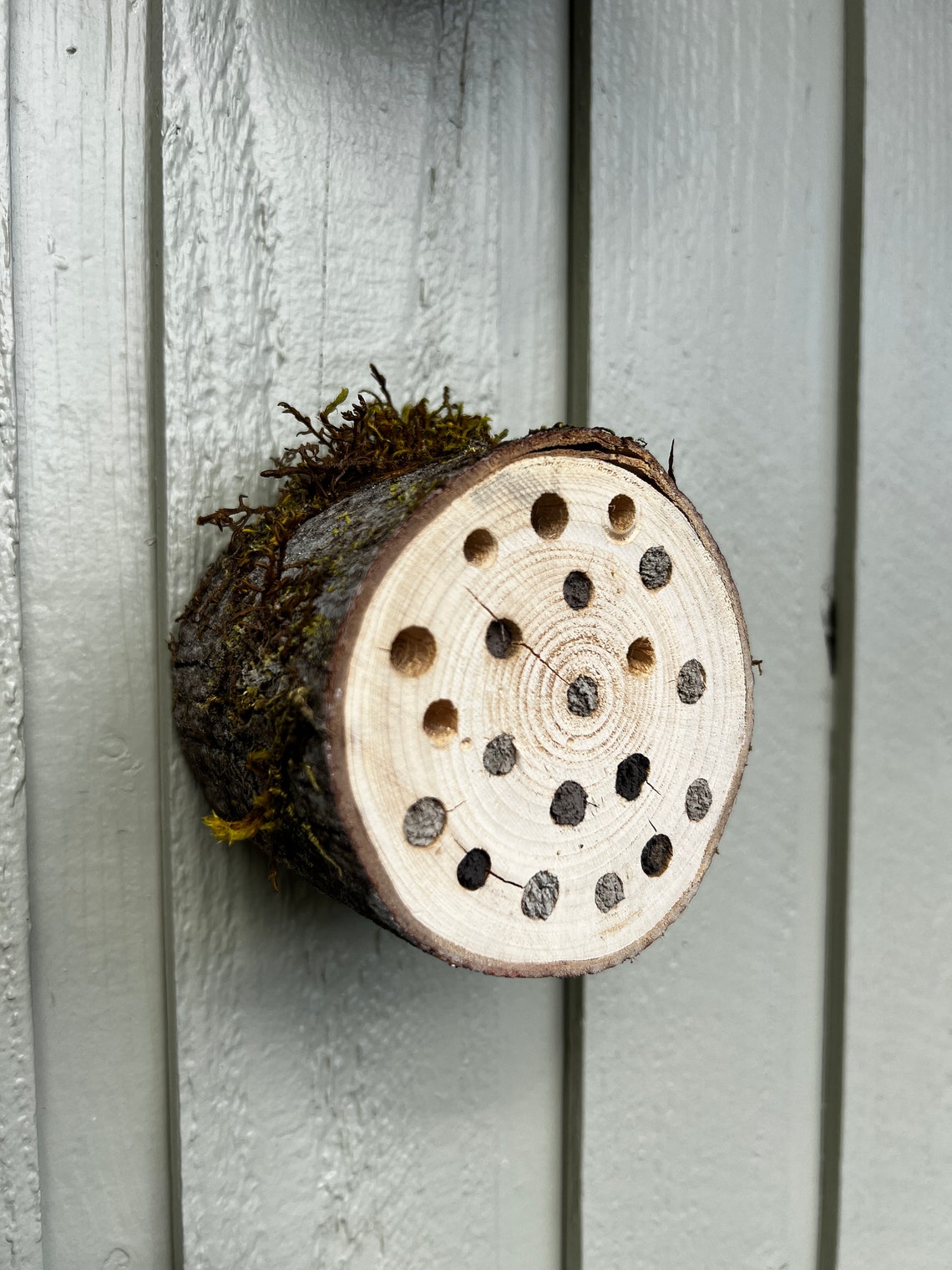 All Natural Native Bee Nest - Made From Maple Wood - Etsy