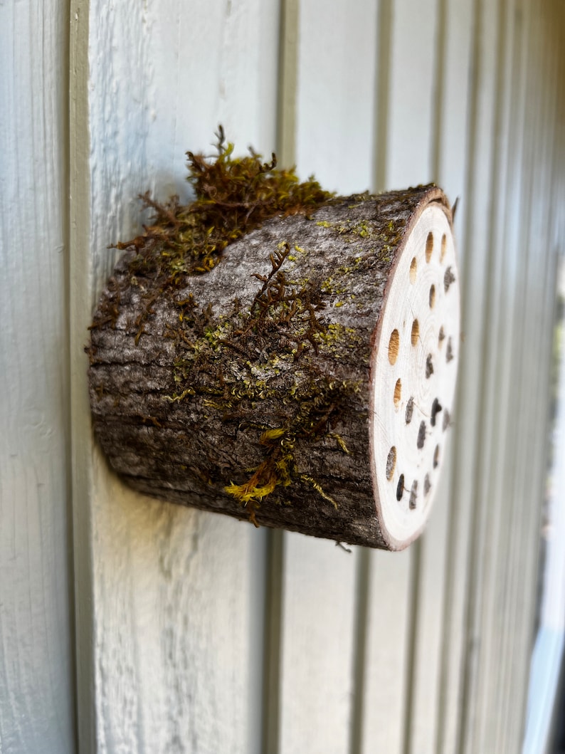 Native Bee Nest - Etsy
