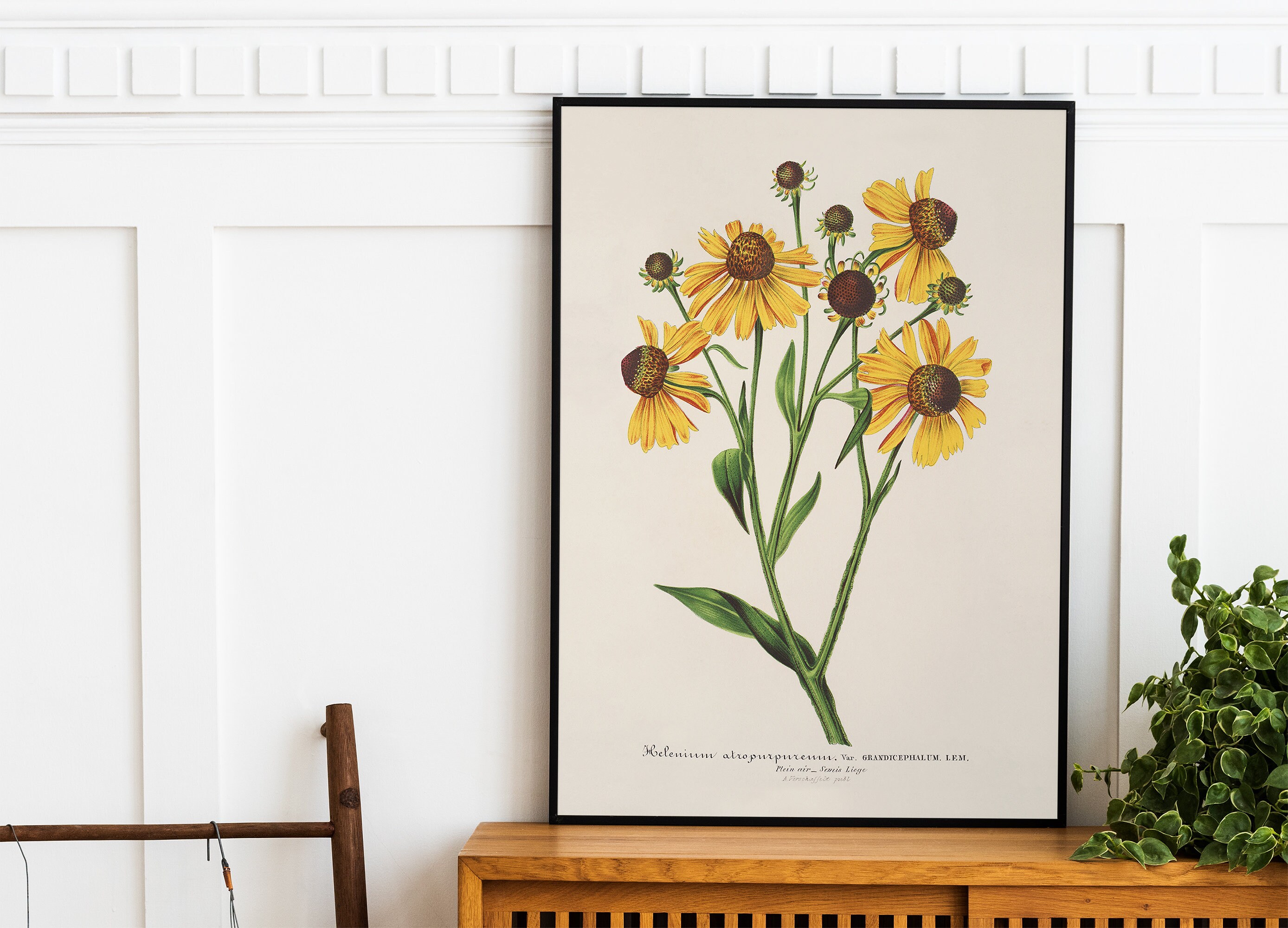 PRINTABLE Vintage Flower Wall Art, Antique Sunflower Decor, Natural ...