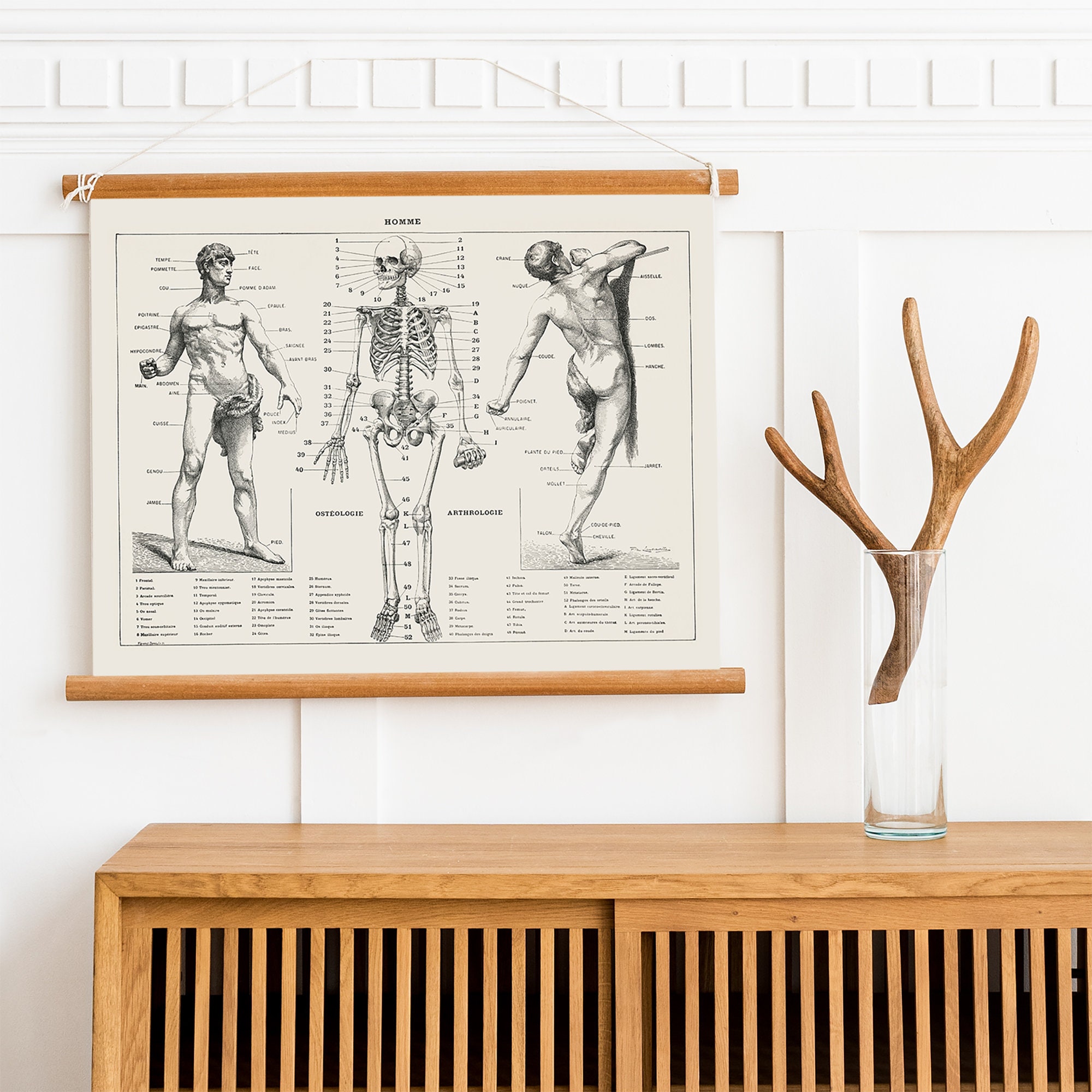 PRINTABLE Vintage Anatomy Wall Art, Human Body Biology Poster, Antique ...
