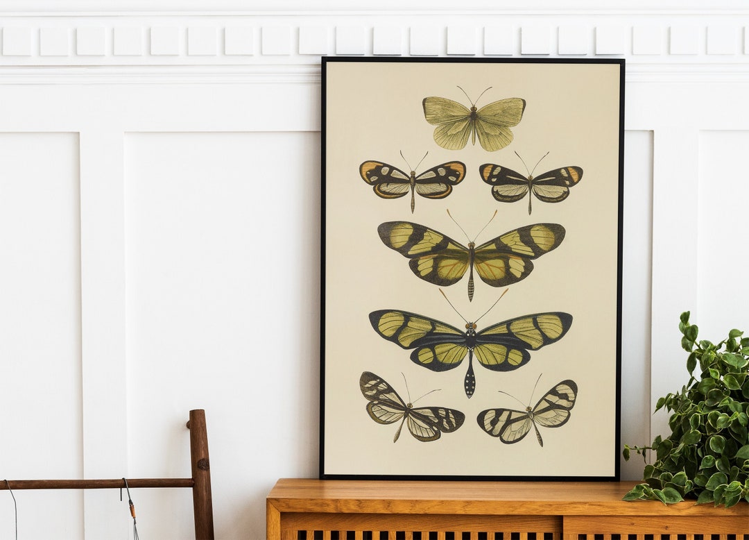 PRINTABLE Vintage Butterfly Wall Decor, Antique Cottagecore Print, Boho ...