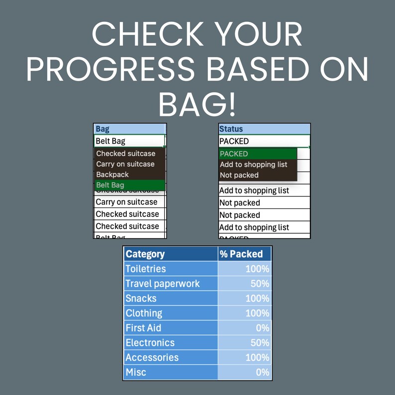 Packing List Excel Template - Organized by Categories and Bag With ...