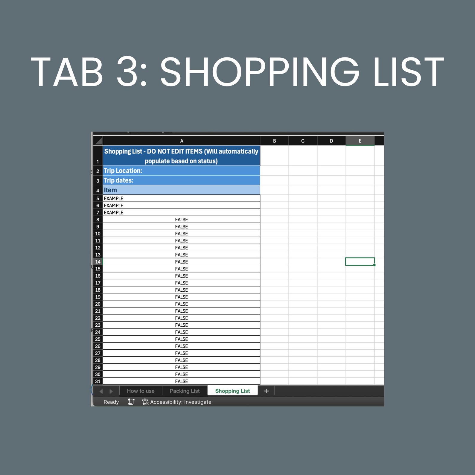 Packing List Excel Template - Organized by Categories and Bag With ...