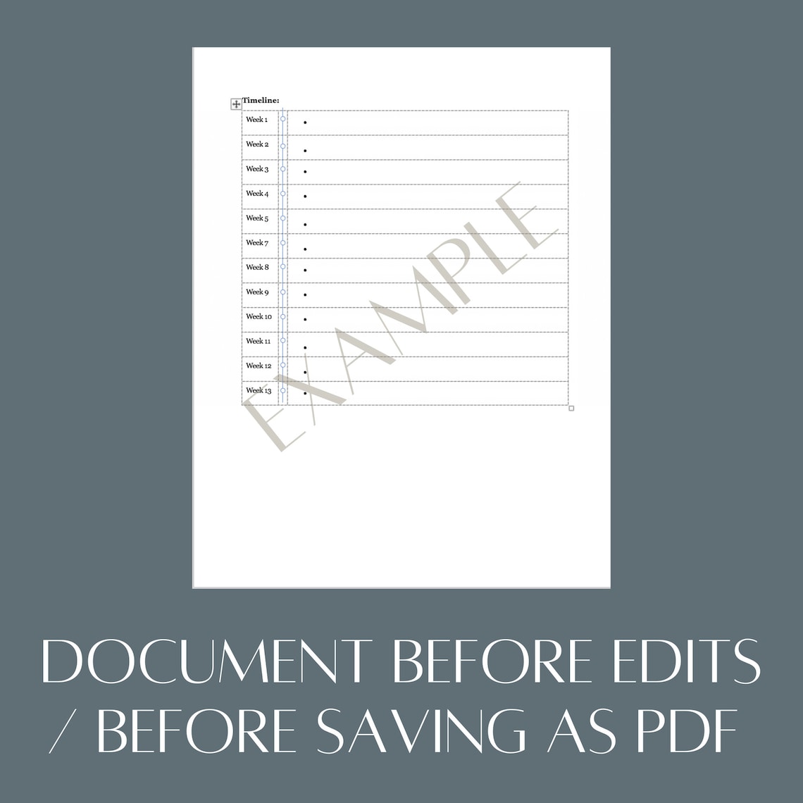 Microsoft Word Timeline Template - Use to Create a Clean and Modern ...