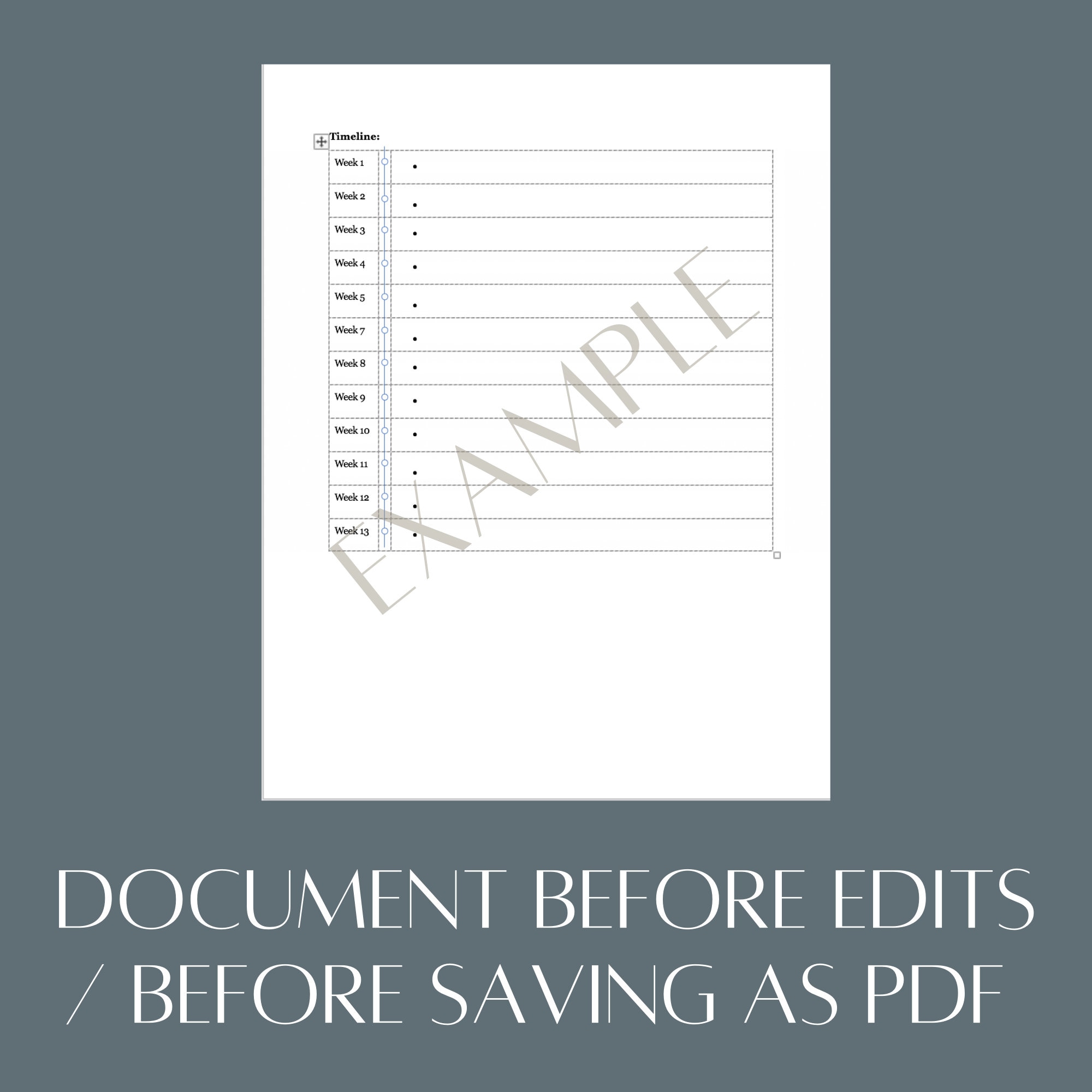 Microsoft Word Timeline Template - Use to Create a Clean and Modern ...