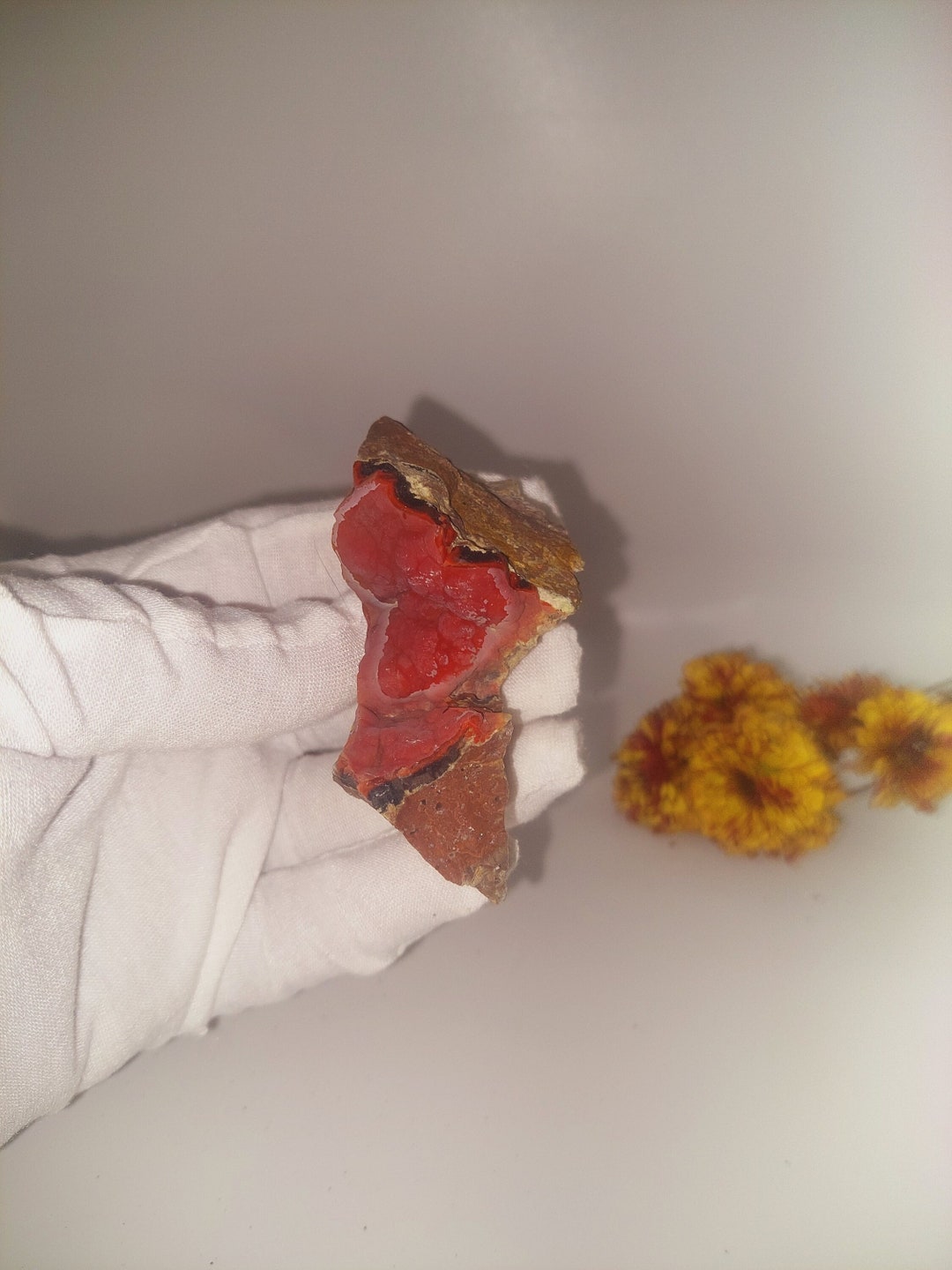 Fighting Red Agate! Fighting Blood Red Agate Mineral Specimen - Strong ...