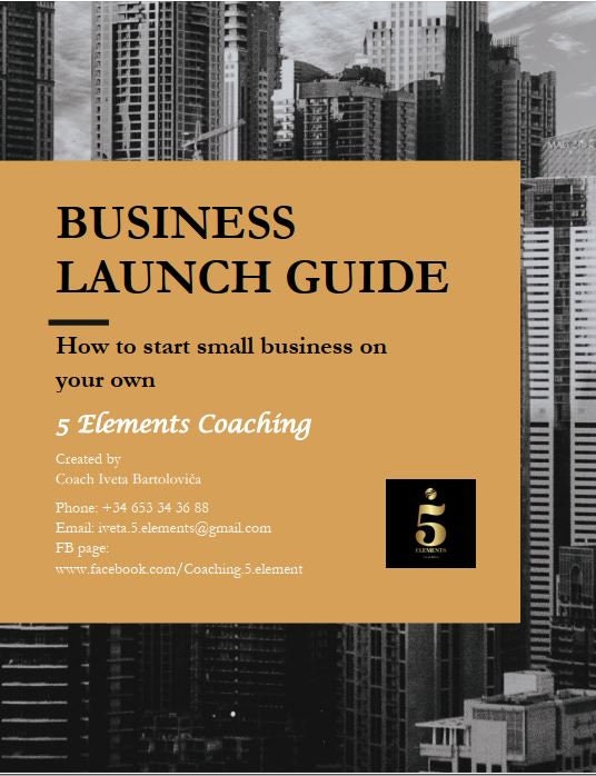 How to Start Small Business on Your Own- Business Launch Guide. FREE ...