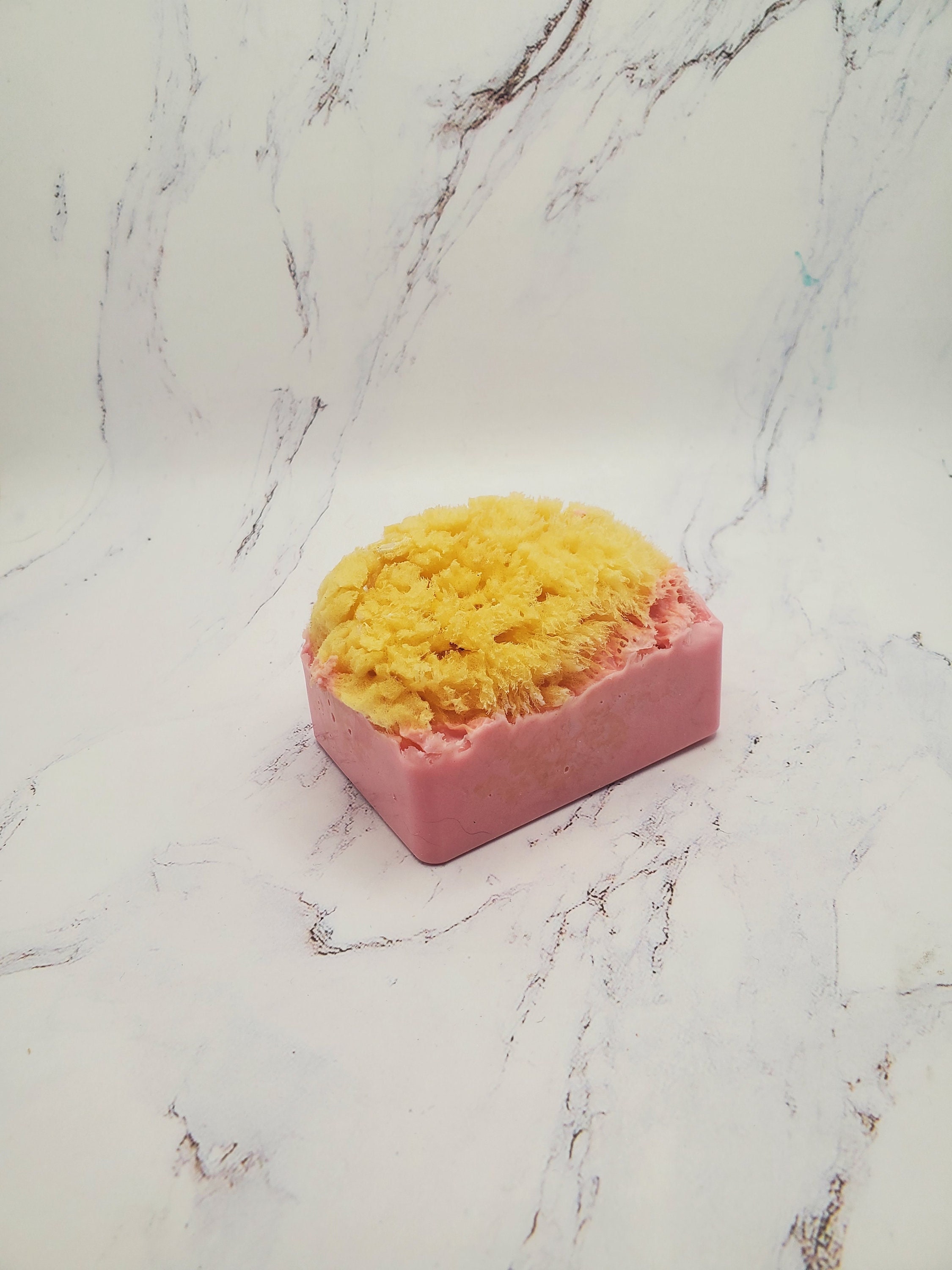 Natural Sea Sponge With Natural Goat Milk Soap 4-5oz Soap Infused ...