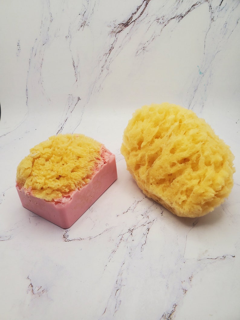 Natural Sea Sponge With Natural Goat Milk Soap 4-5oz Soap Infused ...
