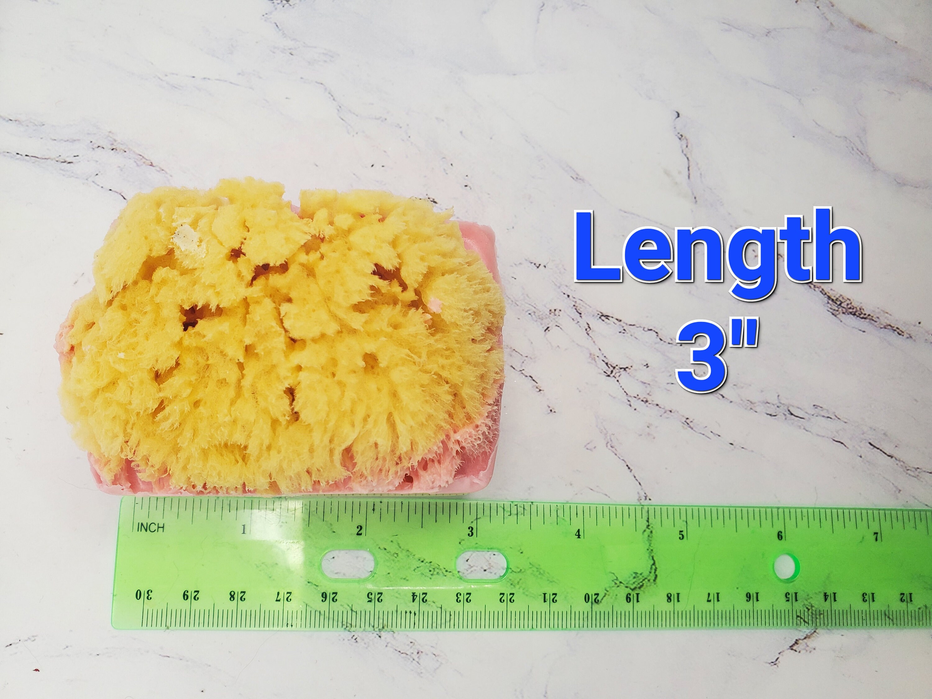 Natural Sea Sponge With Natural Goat Milk Soap 4-5oz Soap Infused ...
