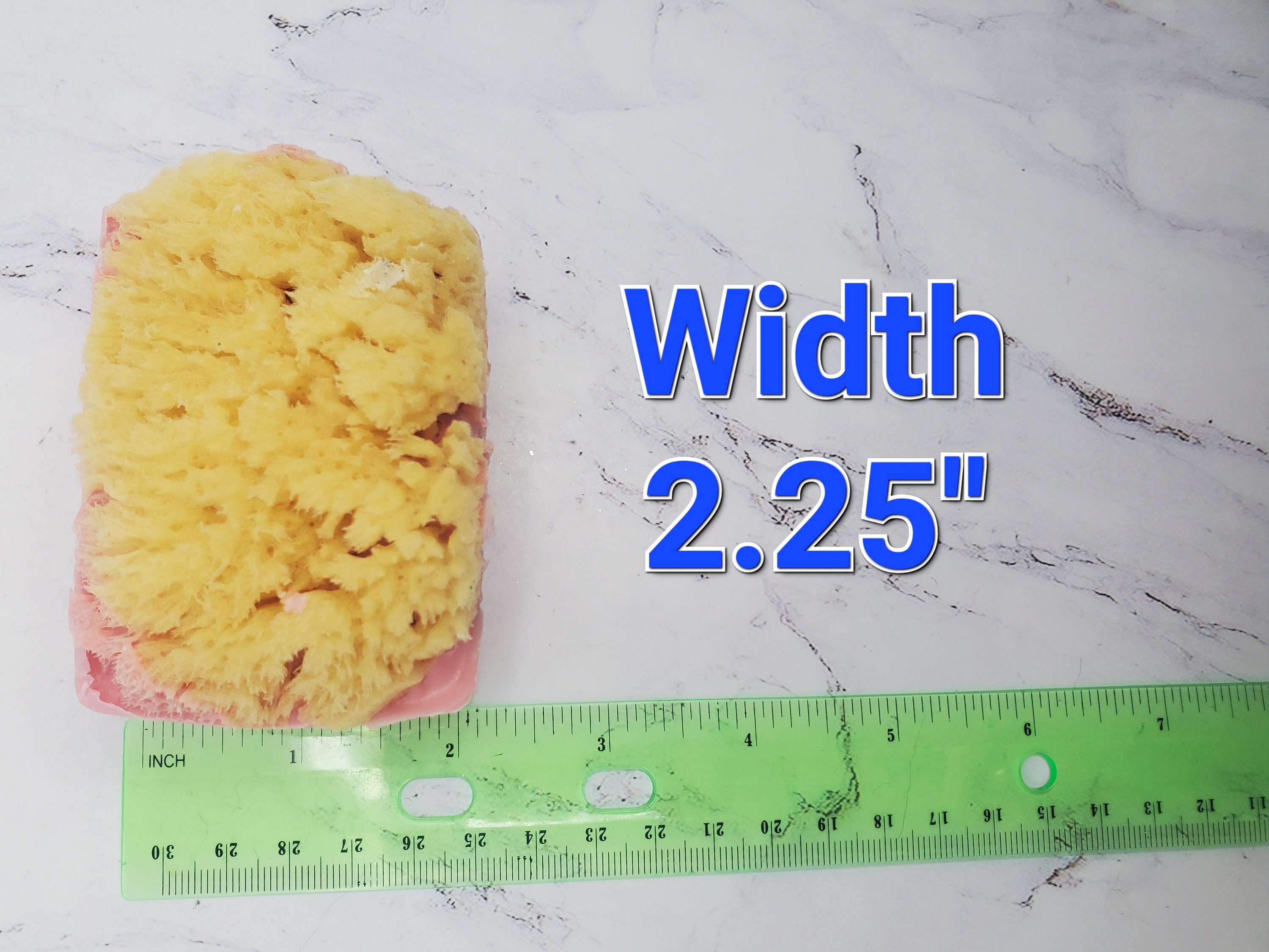 Natural Sea Sponge With Natural Goat Milk Soap 4-5oz Soap Infused ...