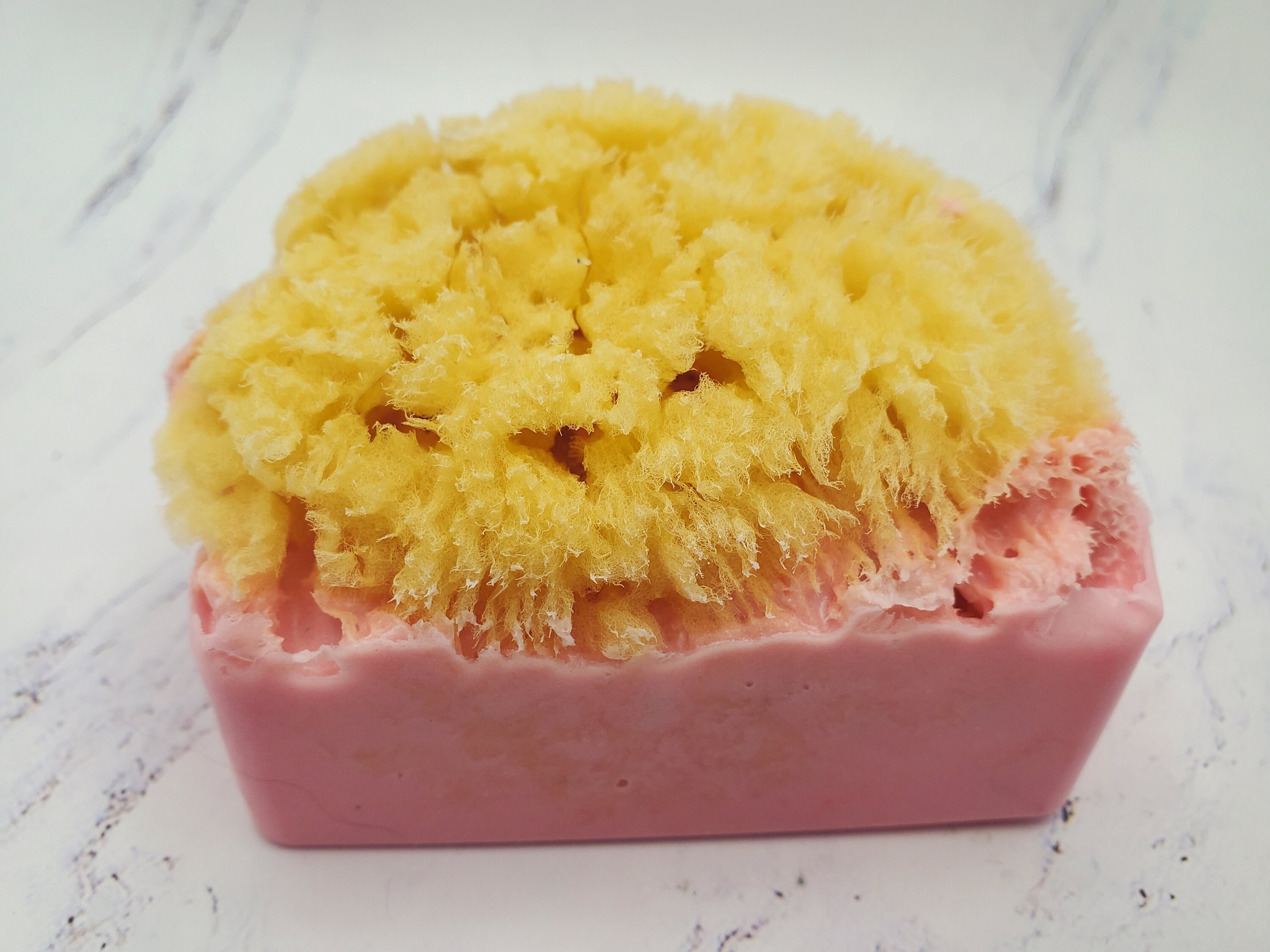 Natural Sea Sponge With Natural Goat Milk Soap 4-5oz Soap Infused ...