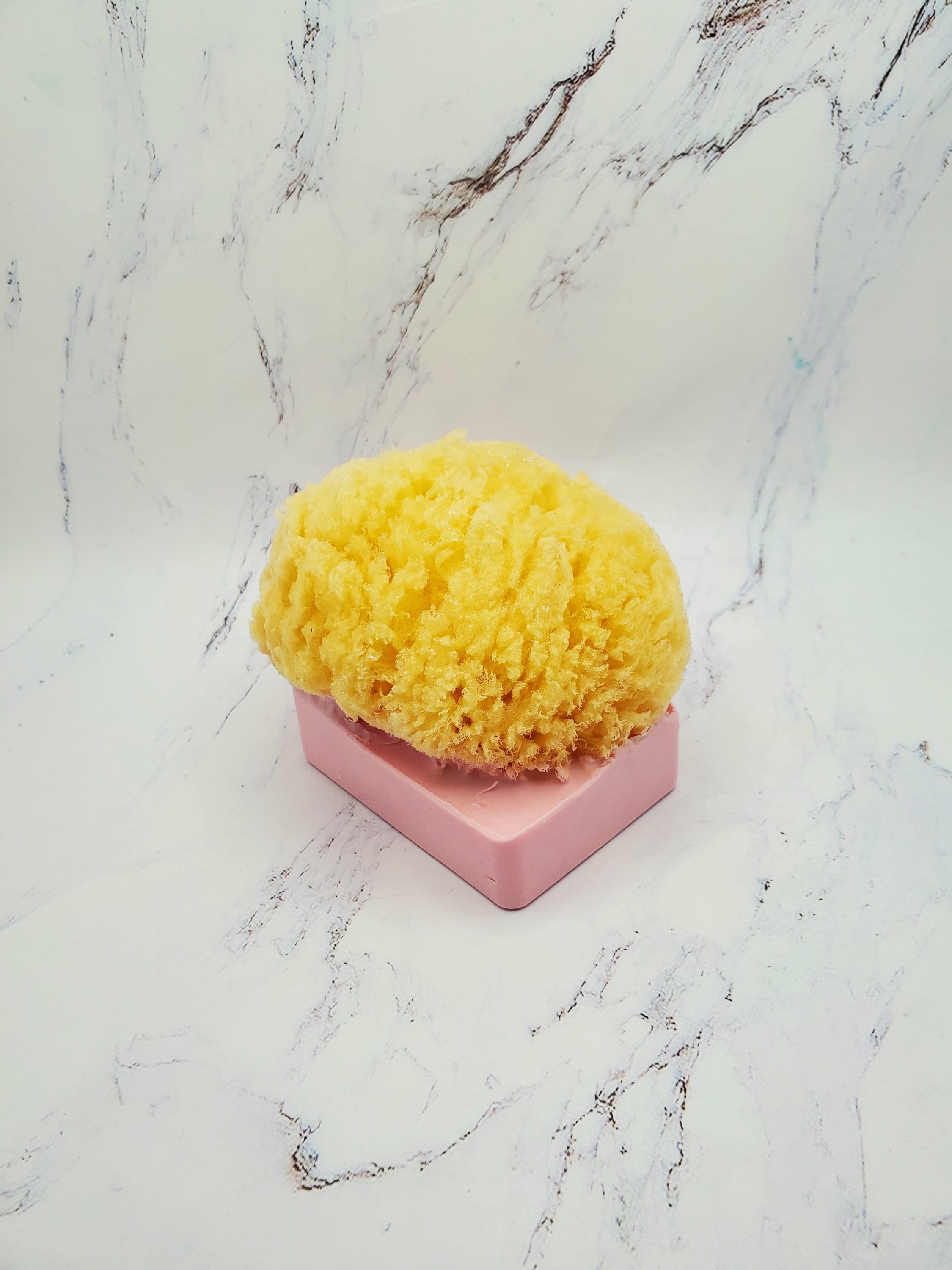 Natural Sea Sponge With Natural Goat Milk Soap 4-5oz Soap Infused ...