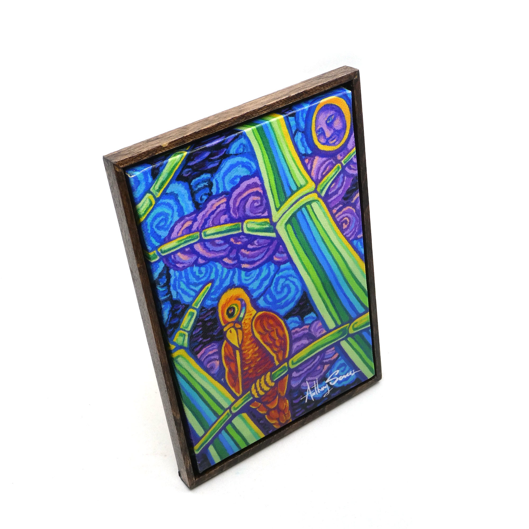 Parrot & Moon Miniature Canvas Print in Floating Frame. Tropic - Etsy