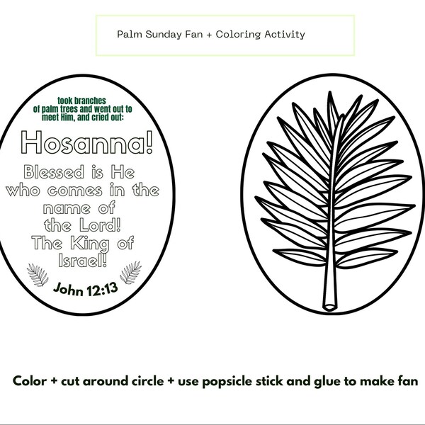 Fan Palm - Etsy