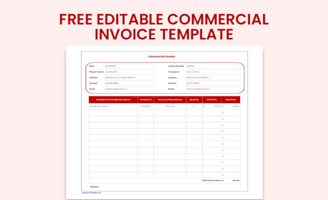Editable Commercial Invoice Template Download - Etsy Australia