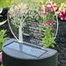 Personalized Memorial Garden Solar Light: Remembrance Gift - Etsy