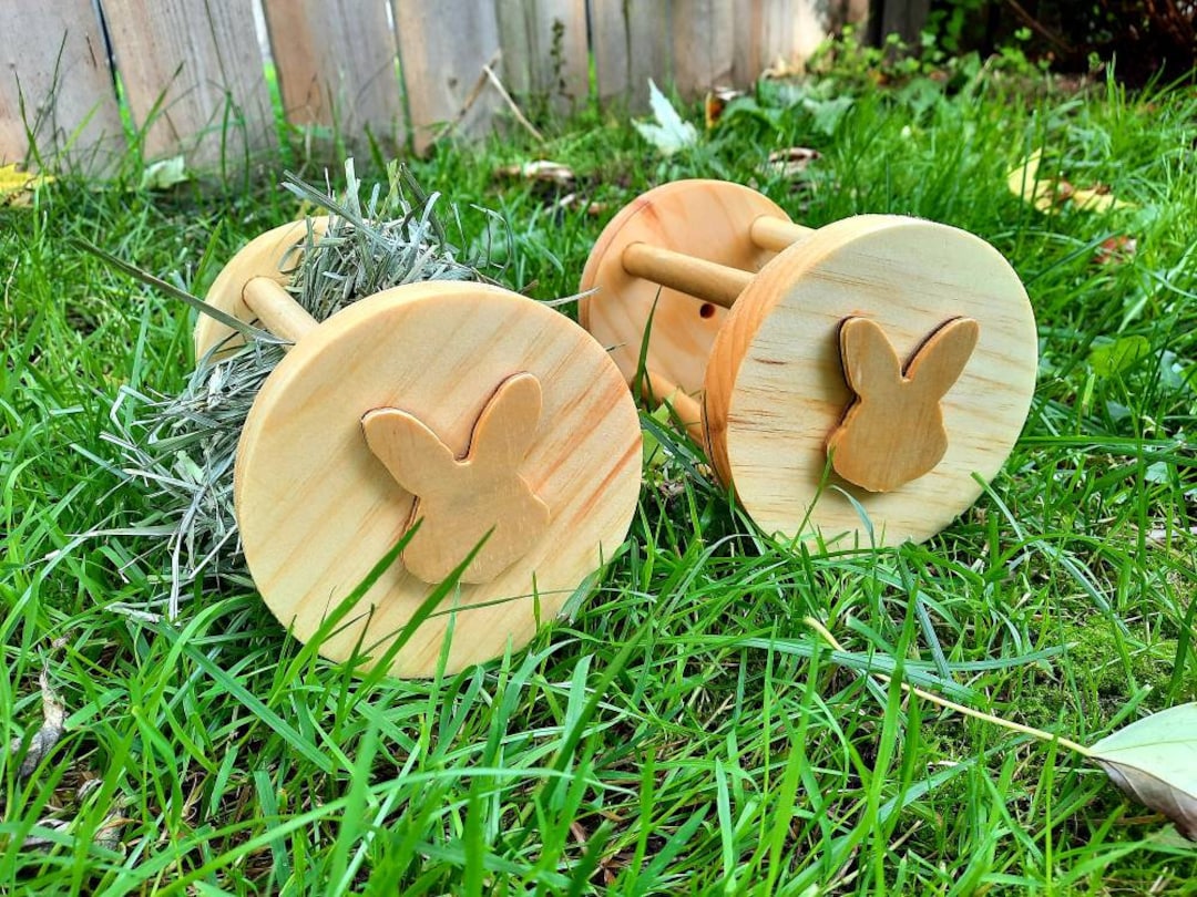 Small Animal Hay Rollers, Hay & Greens Feeding and Flinging Toy, Comes ...