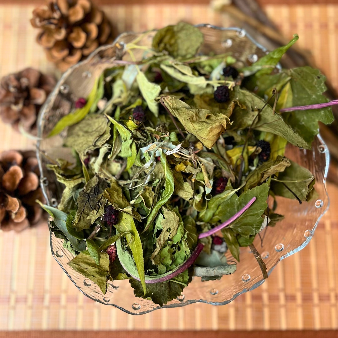 Natural Rabbit Forage Mix, Taste of the Forest, 30g Bag, Mulberry ...