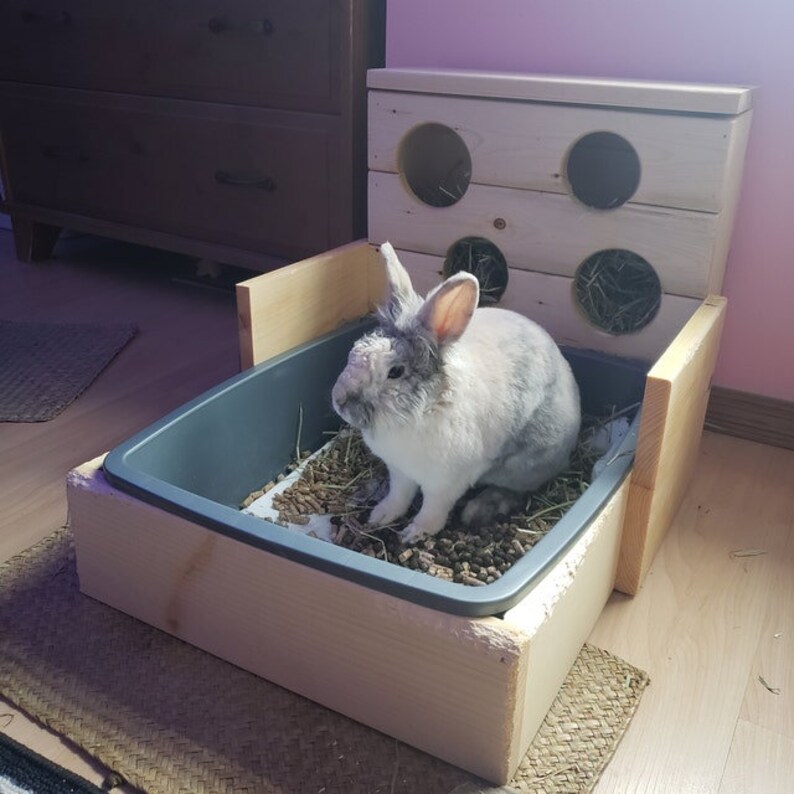Rabbit Hay Feeder and Litter Box With Extended Walls / Small - Etsy
