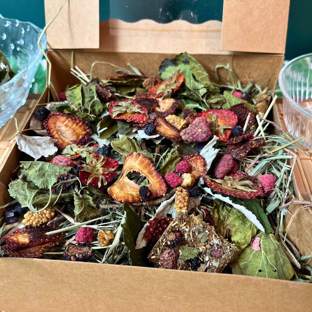 Very Berry Forage Box for Small Animals, Dehydrated Local Berries for ...