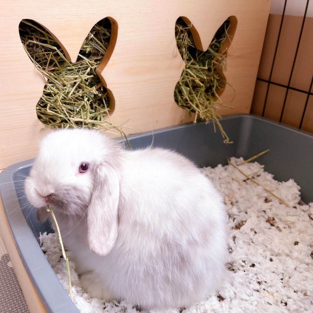 Hay Feeder & Litter Pan Combo, Double Bunny Head Style, Extra Large ...