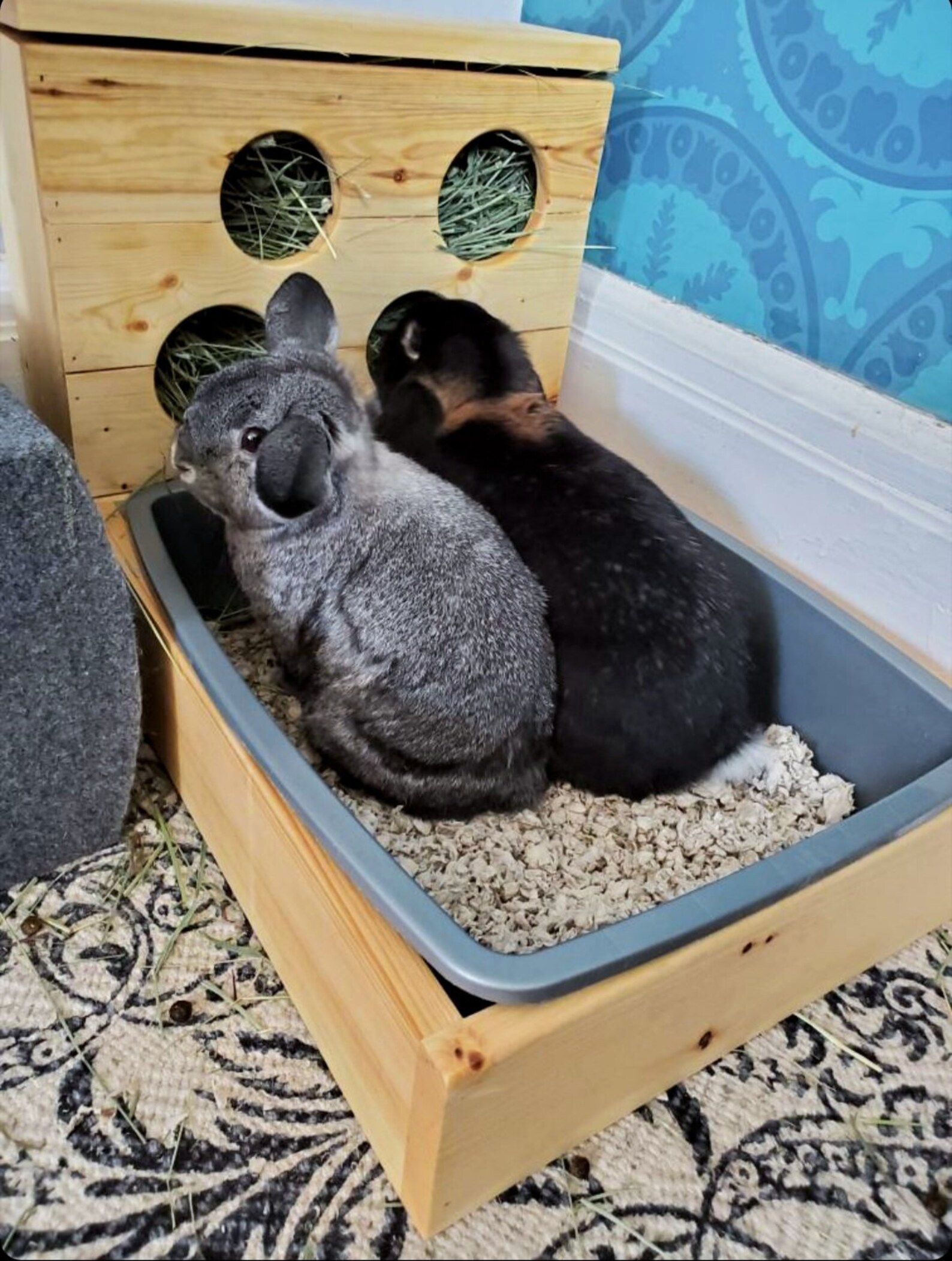 Rabbit Hay Feeder With Litter Box Litter Pan & Hay Feeding - Etsy