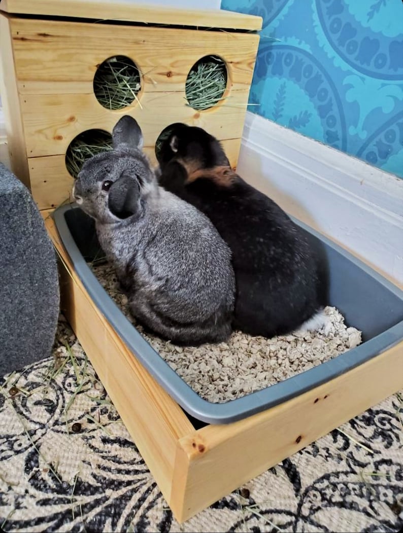 Rabbit Hay Feeder With Litter Box Litter Pan & Hay Feeding - Etsy