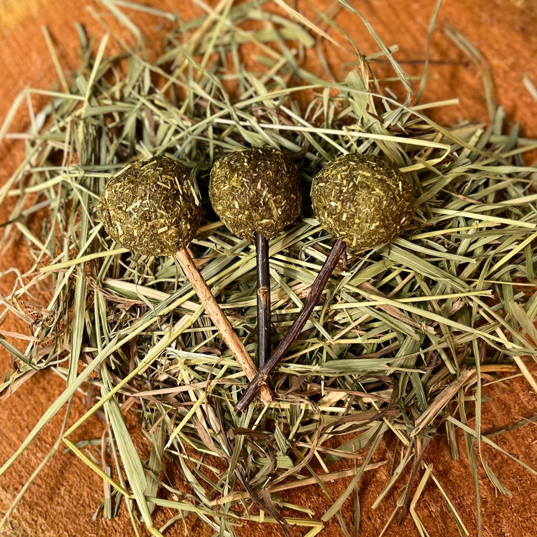 Timothy Hay Lollipop Treats for Rabbits, Stick Chew for Small Animals ...