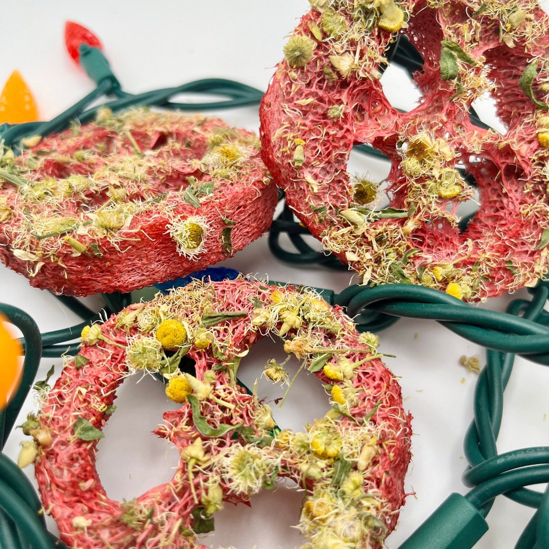 Berry Candy Cane Loofah Chew: Holiday Rabbit Toy With Chamomile & Daisy ...