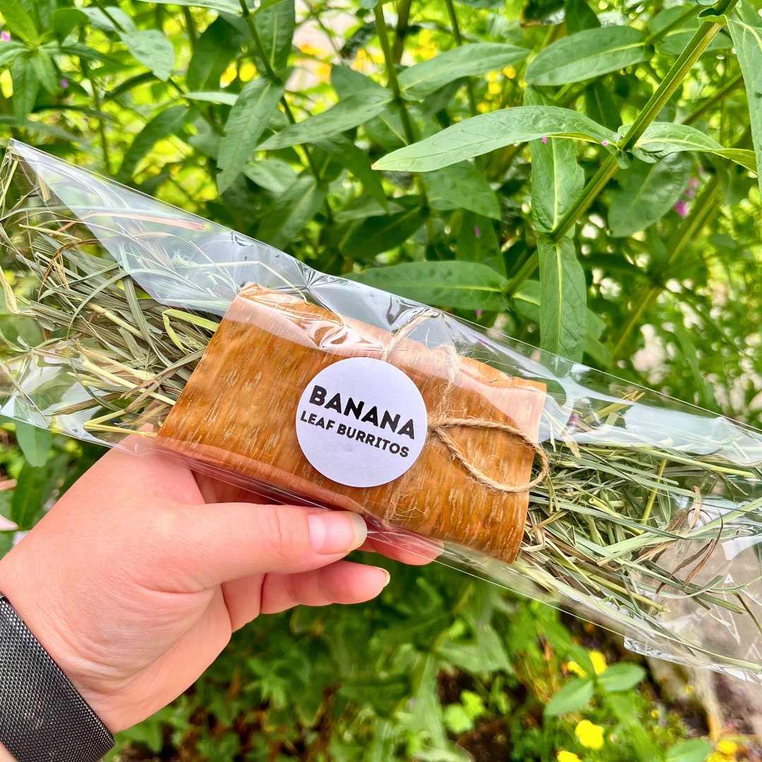 Banana Burritos for Rabbits, Small Animal Sisal-wrapped Banana Chew ...