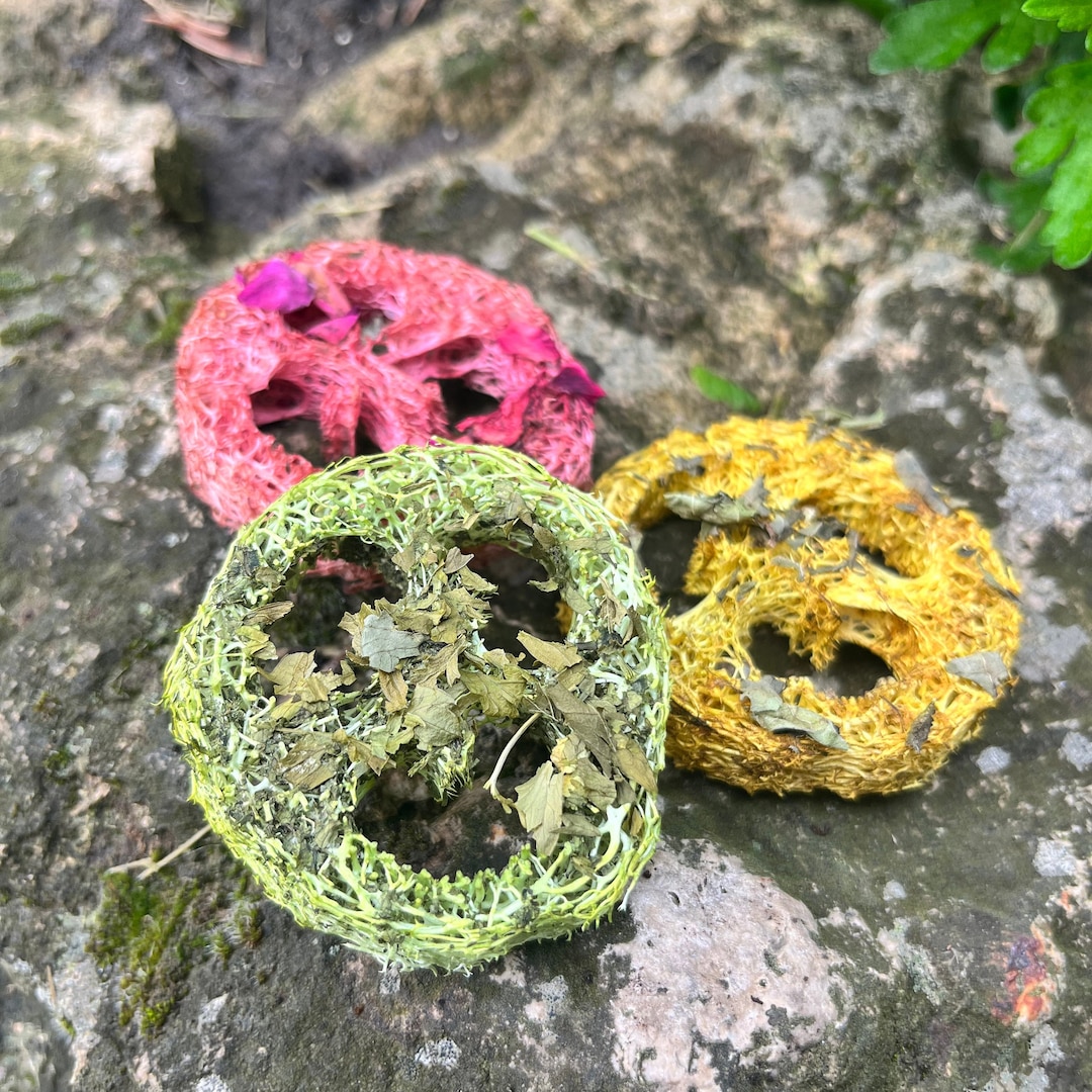 Naturally Flavored Loofah Chews: Rabbit, Guinea Pig, and Small Pet Toys ...