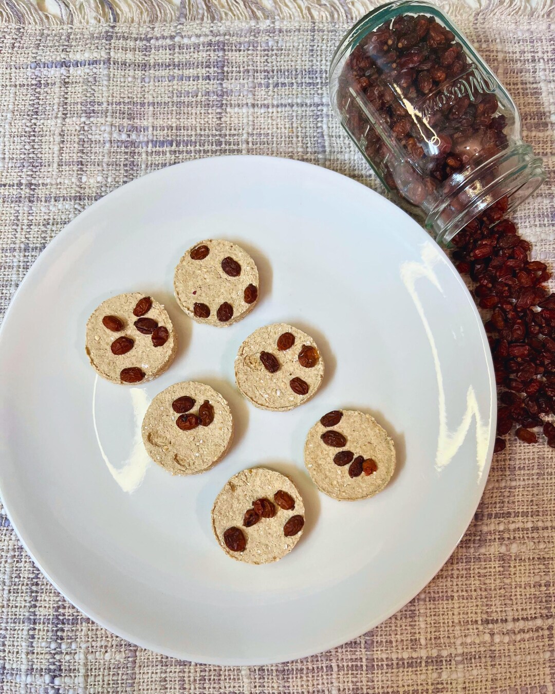 Berry Chip Oatmeal Cookies for Rabbits - Etsy