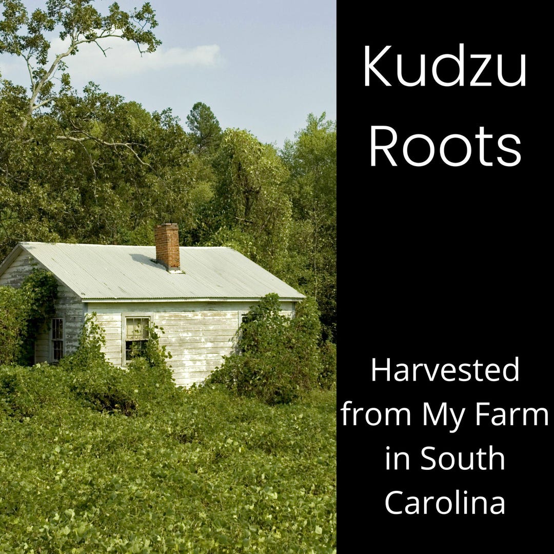 Kudzu Rhizomes and Roots. NOT Full Tubers. Wild-harvested - Etsy