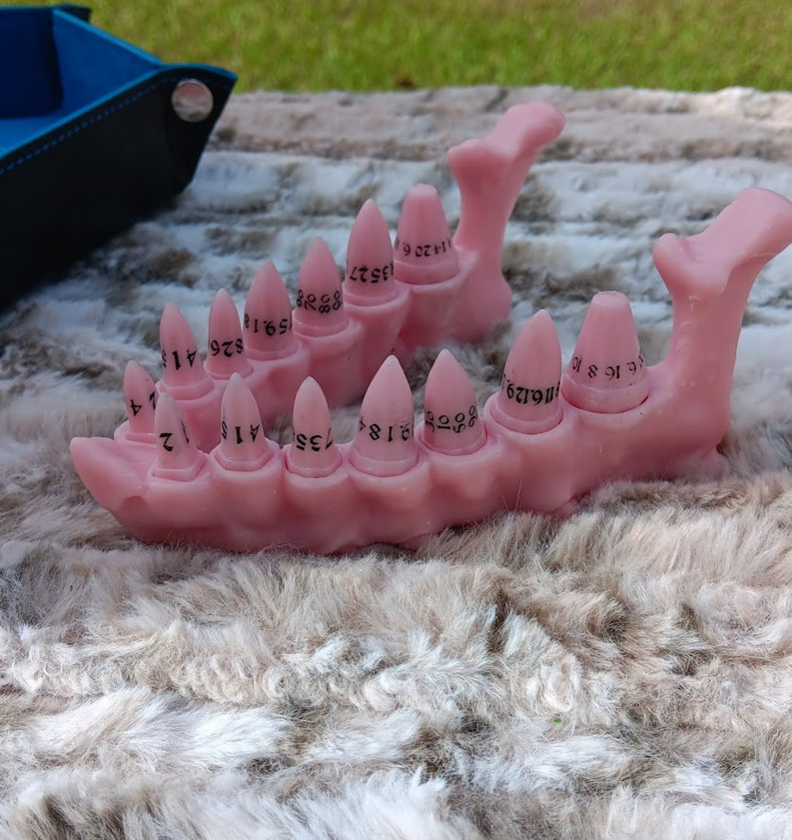 Dragon Jaw and Teeth Dice Set - Etsy