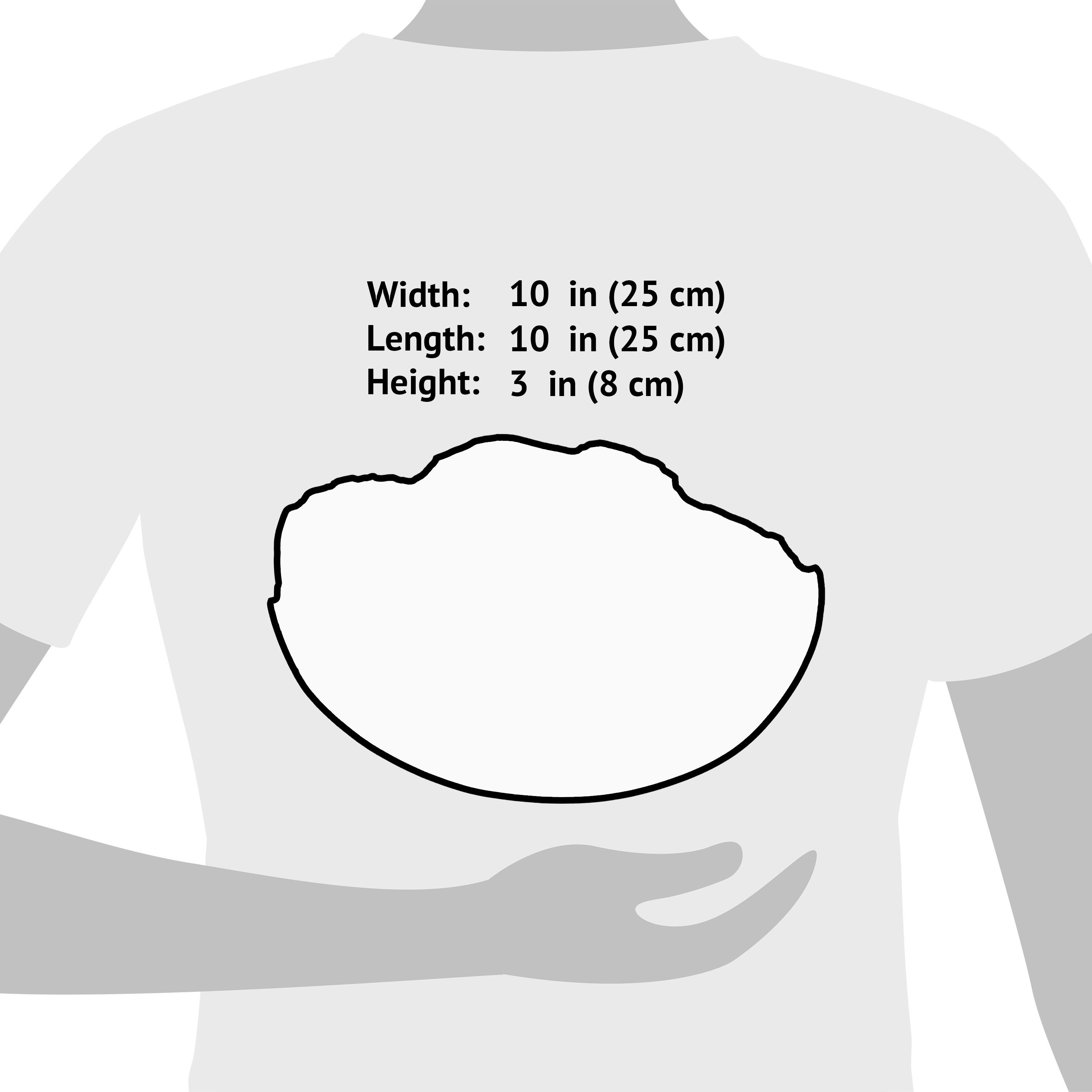 Large Live Edge Rustic Java Teak Root Bowl - Etsy