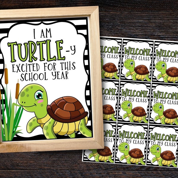 Sea Turtle Poster - Etsy