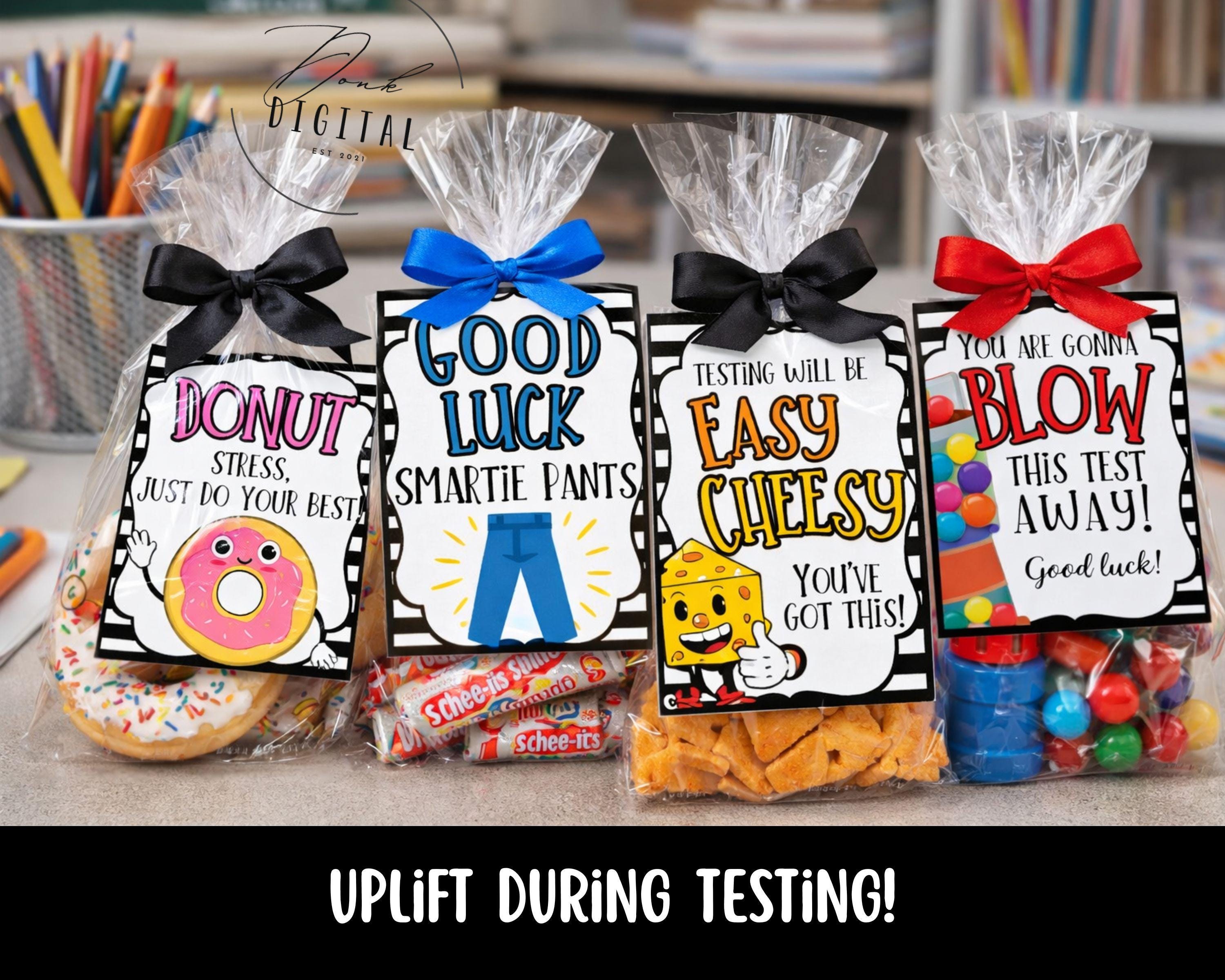 Testing Encouragement Tags: Printable (PDF) - Etsy