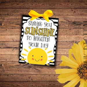 Sending You SUNSHINE to Brighten Your Day- Sunshine Tag- Kindness Gift ...