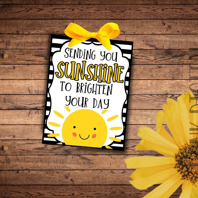 Scatter Sunshine - Etsy