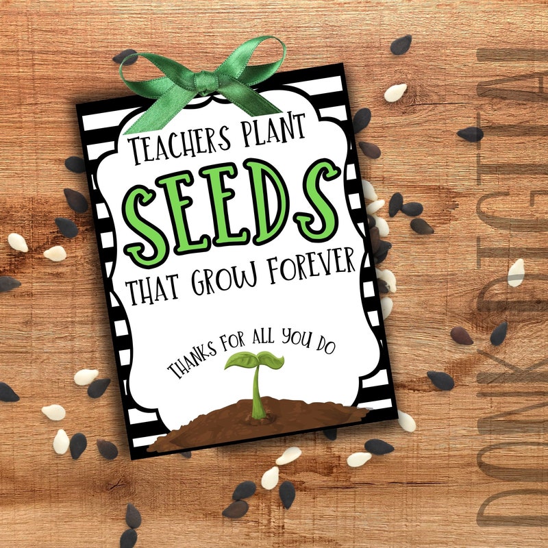 Teachers Plant Seeds - Etsy