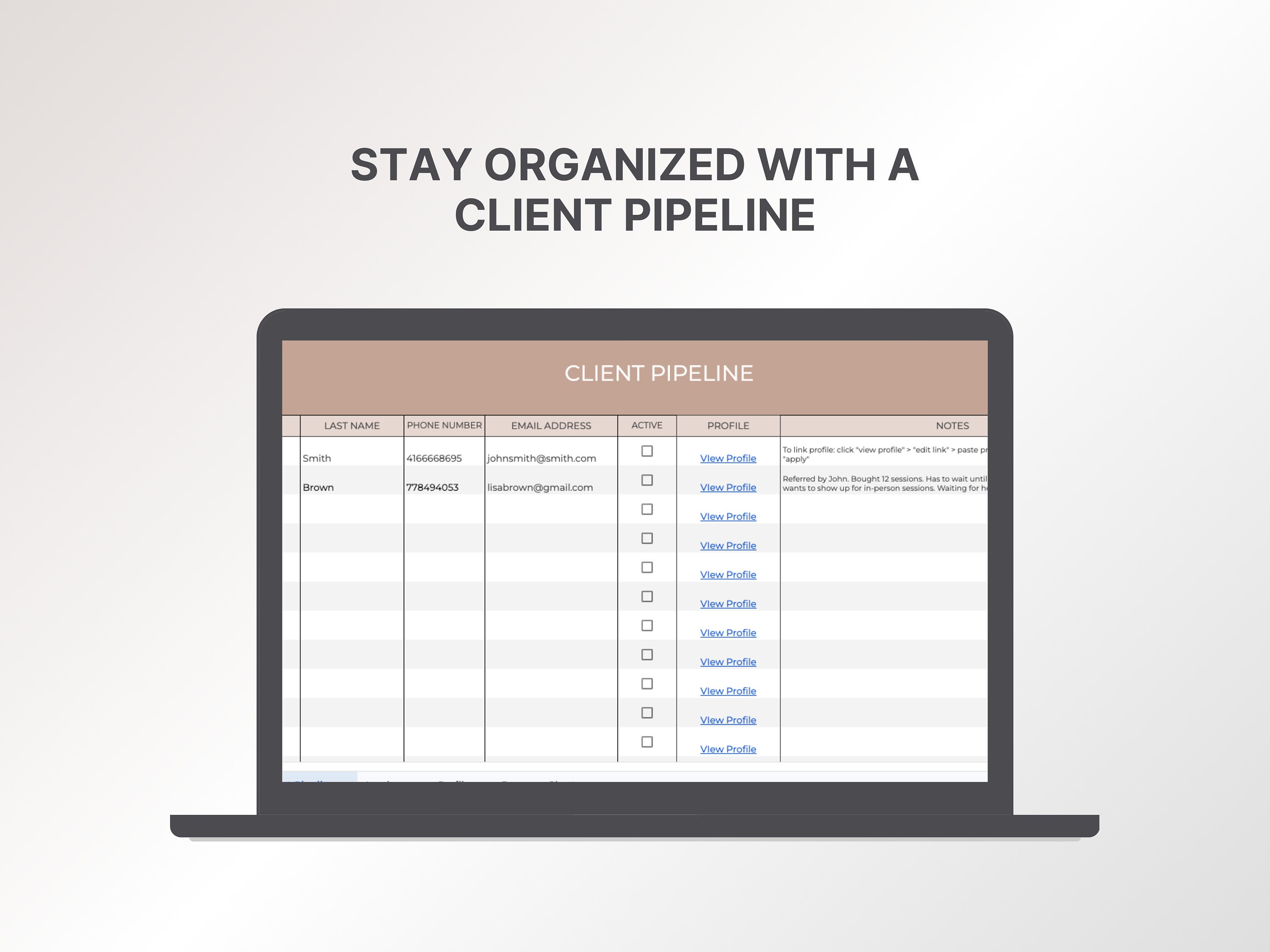 Personal Trainer Client Management Template: CRM & Progress Tracker ...
