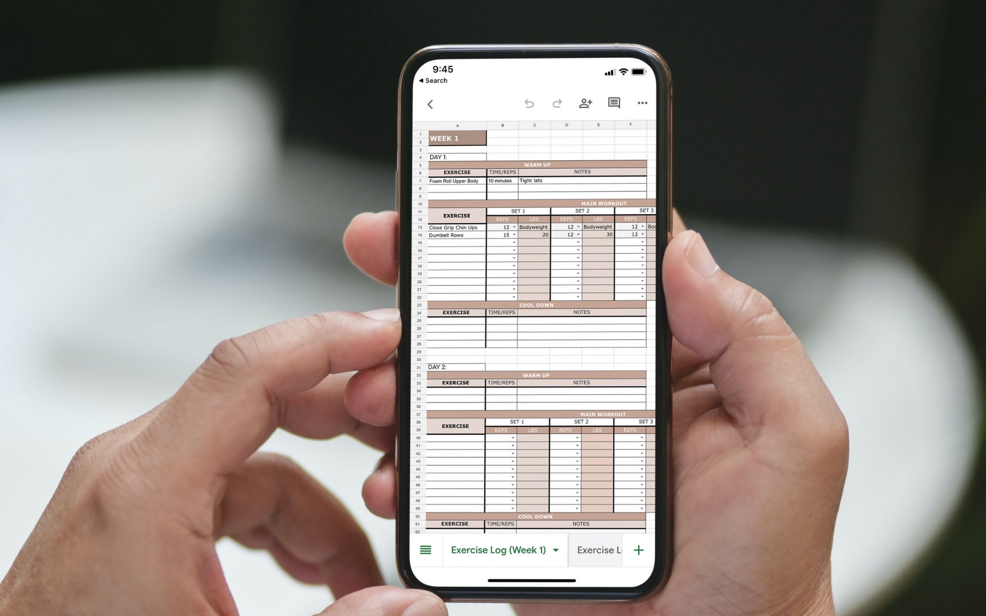 Personal Trainer Templates Program / Workout Tracker / Electronic + PDF ...